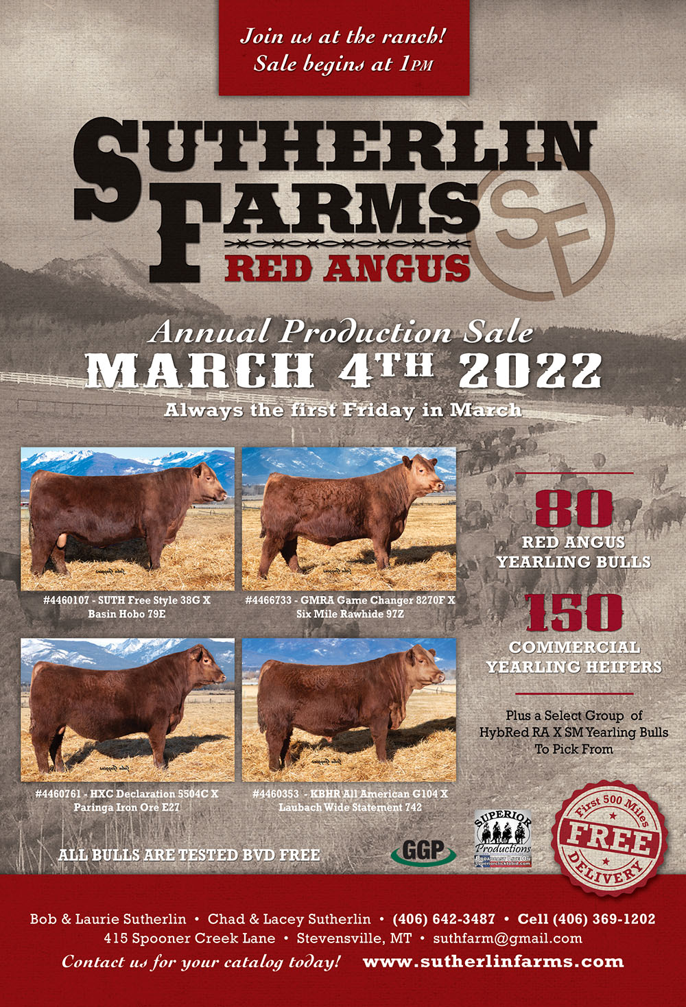 Sutherlin Red Angus Sale | Yearling Bulls Heifers